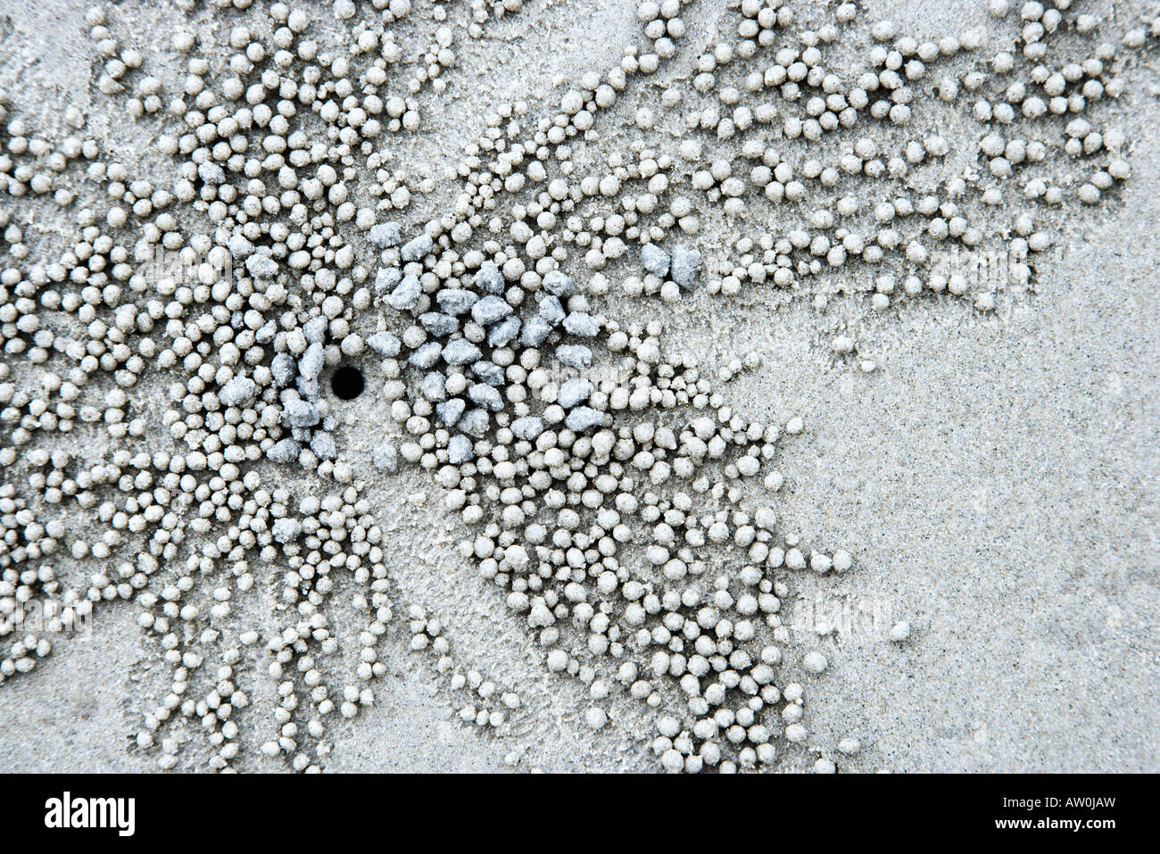 Pebbles in sand Stock Photo - Alamy