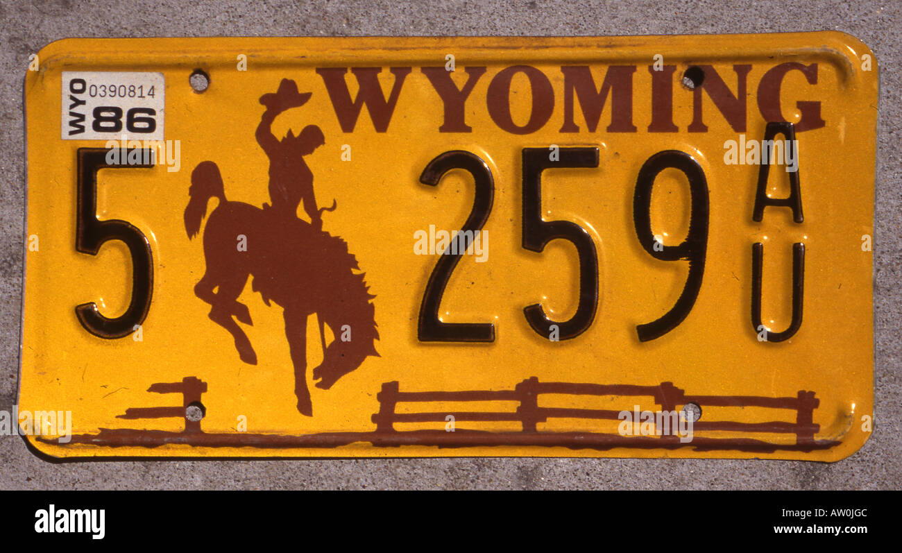 US CAR NUMBER PLATE Stock Photo - Alamy