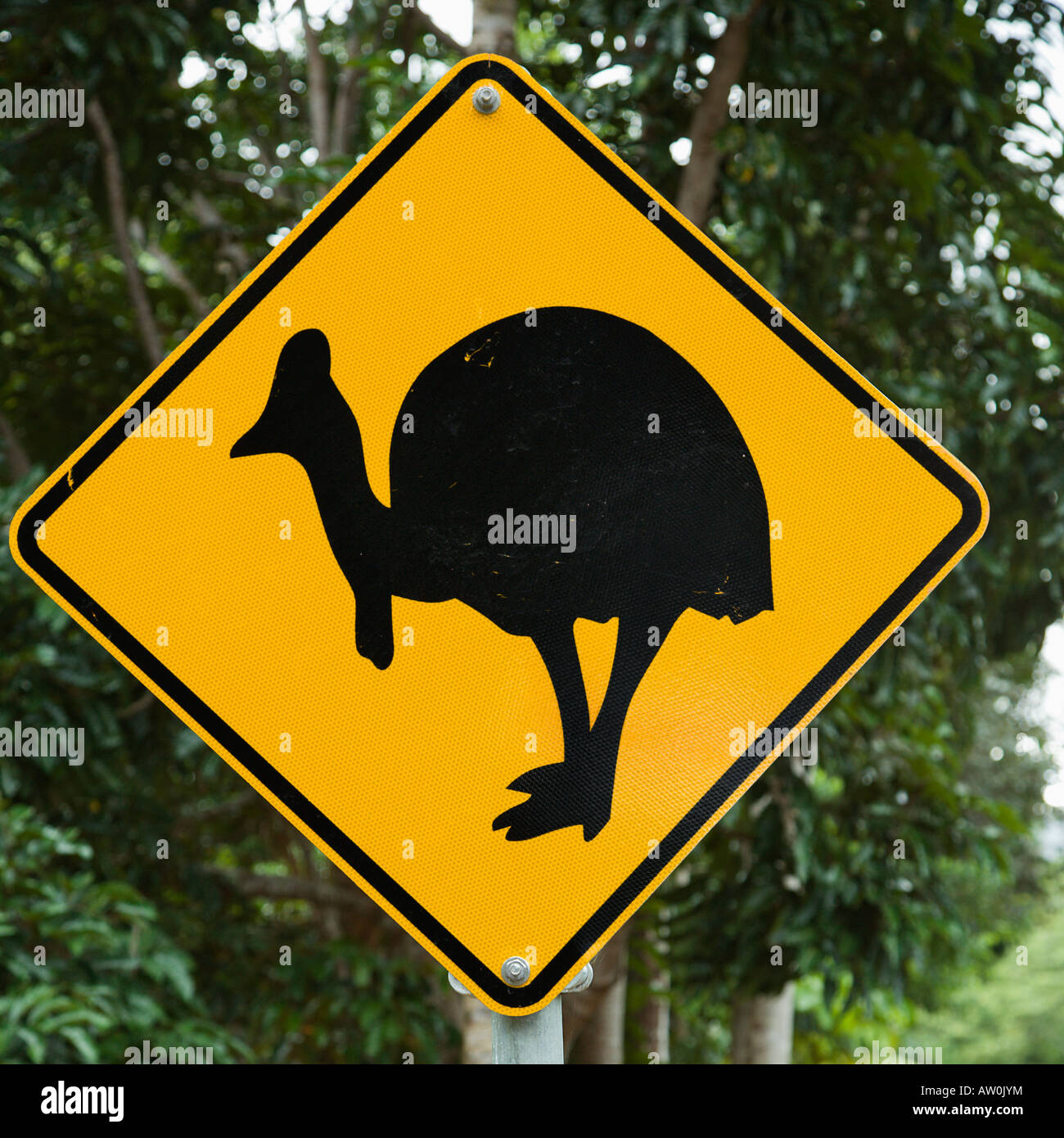 Cassowary crossing sign Stock Photo - Alamy
