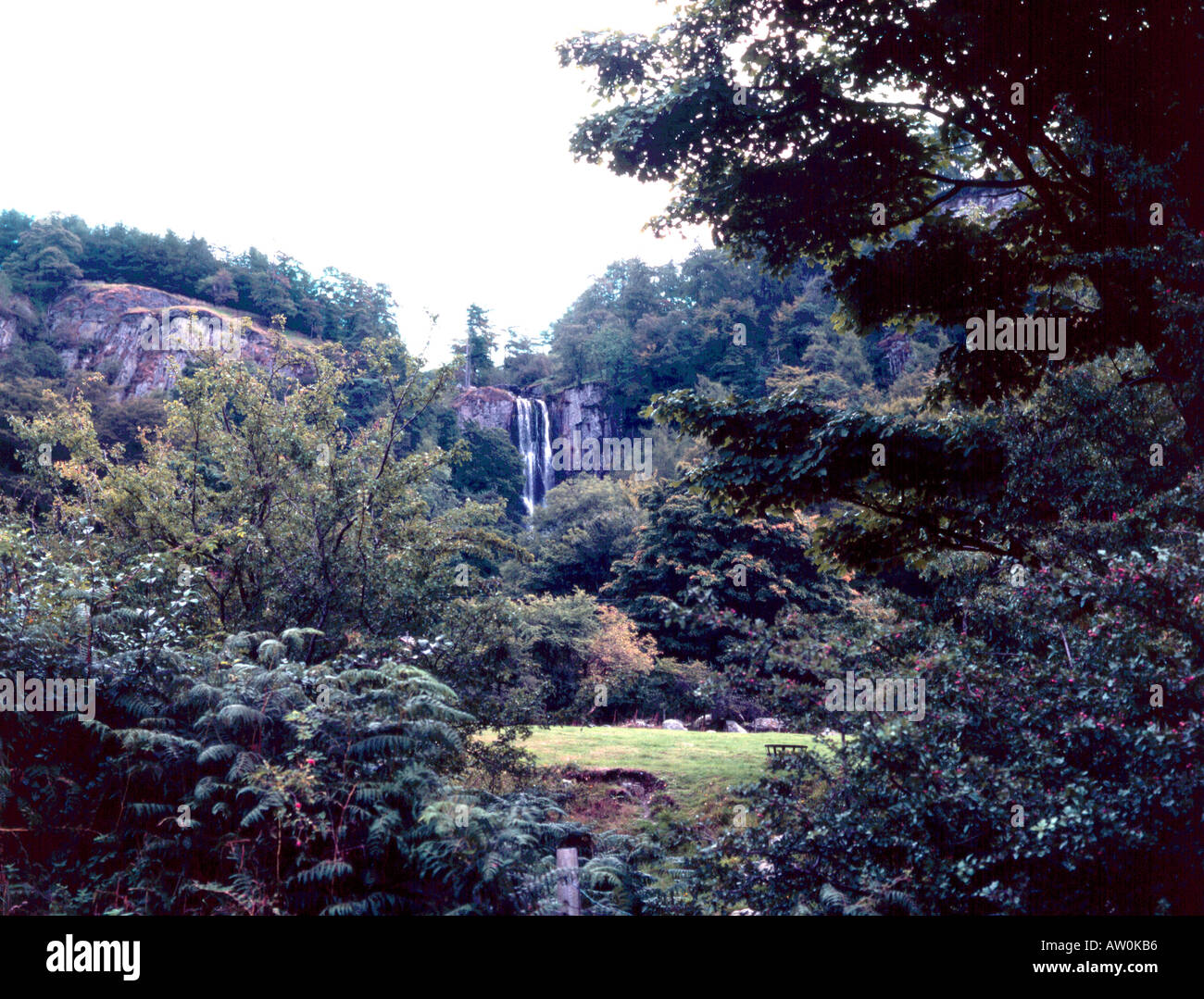 Pistyll Rhaedr Waterfall Wales UK Stock Photo - Alamy