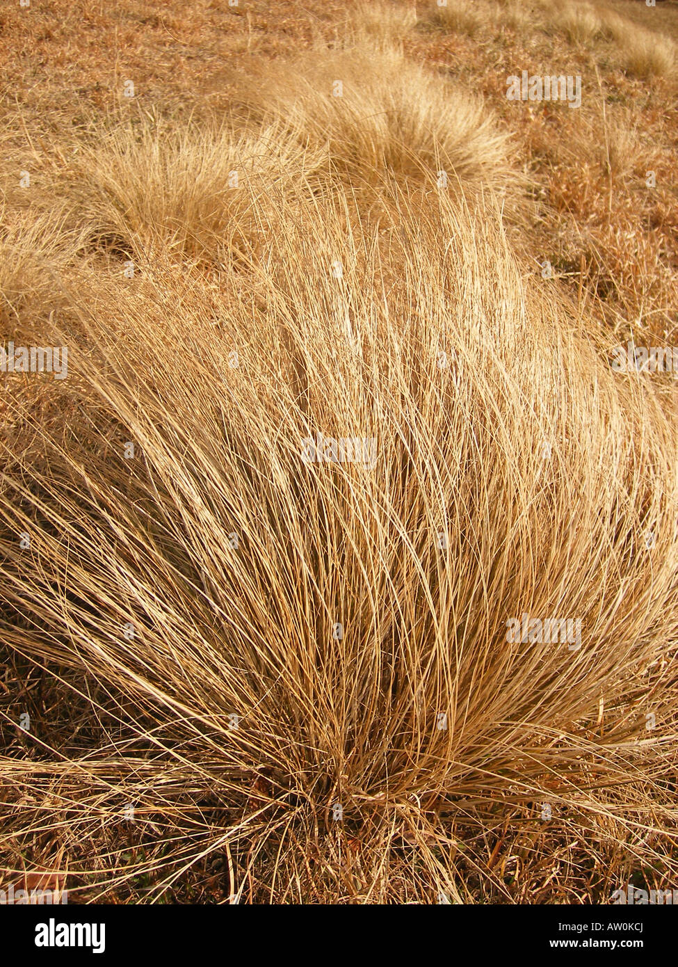 Virginia natural attractions hi-res stock photography and images - Alamy