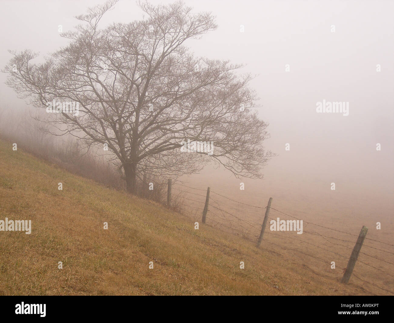 Virginia field hi-res stock photography and images - Alamy