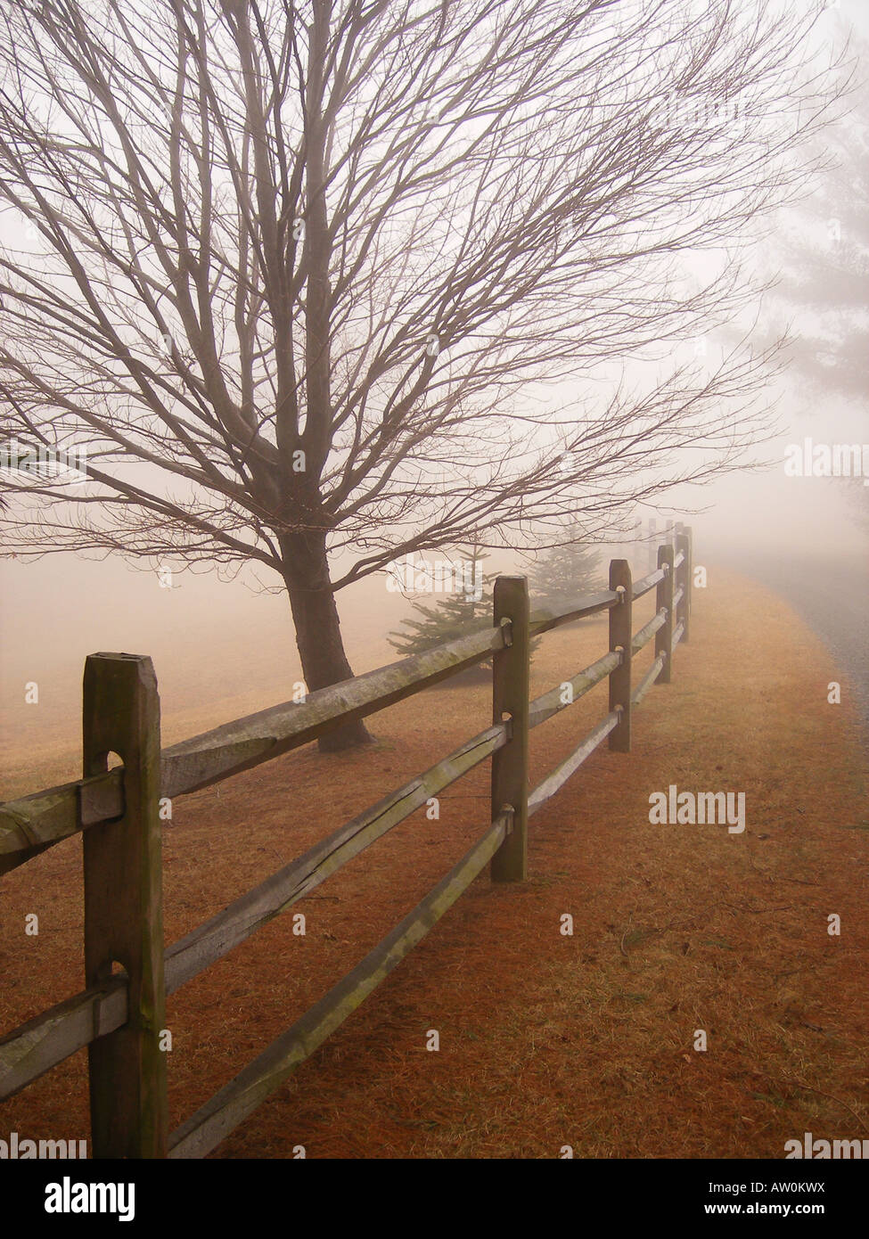 AJD59876, split rail fence, fog, Galax, Virginia, VA Stock Photo - Alamy
