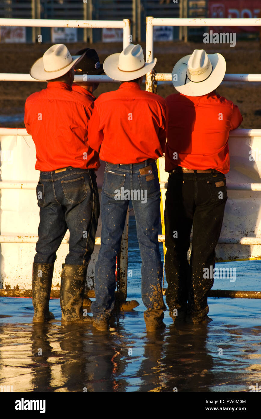 cowboys rodeo shows rain delay competition sports western waiting event ...