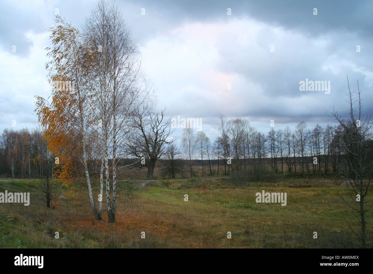 Red meadow Cut Out Stock Images & Pictures - Alamy