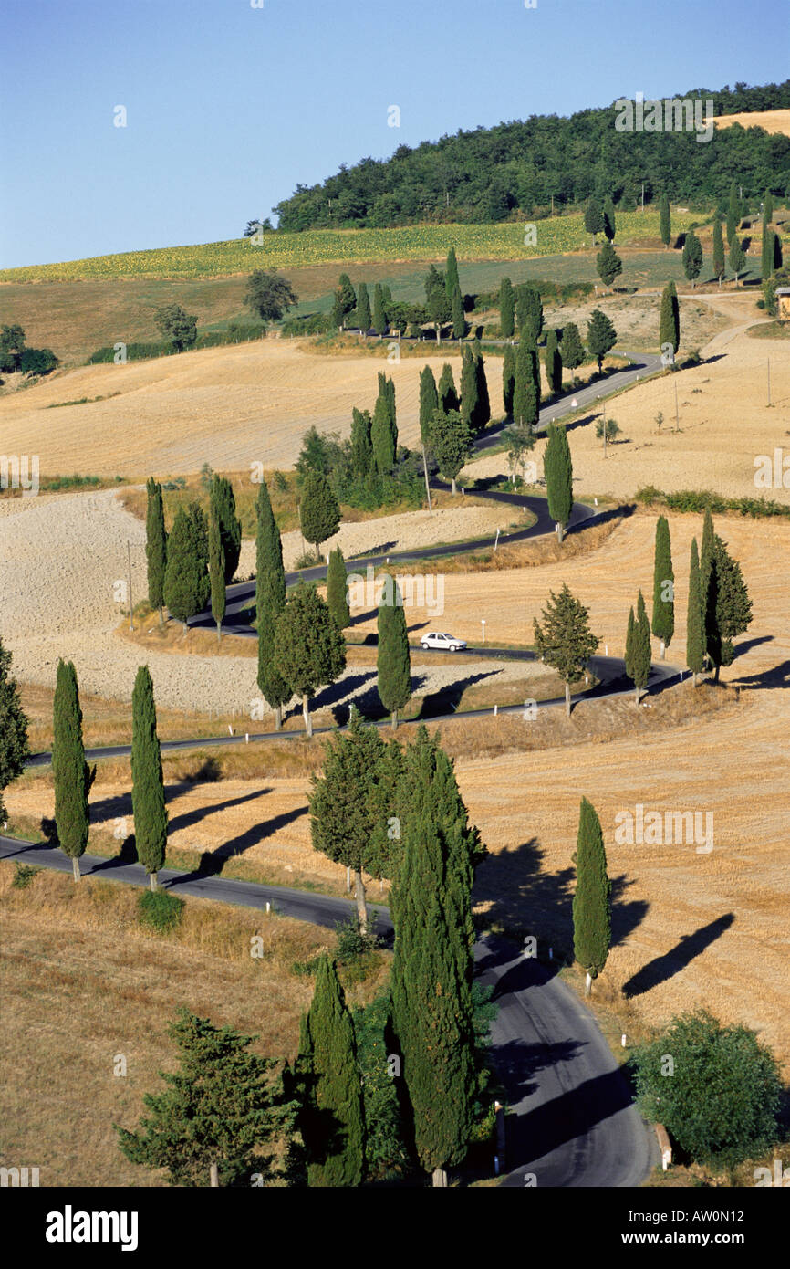 Cypress tree lined winding road hi-res stock photography and images - Alamy