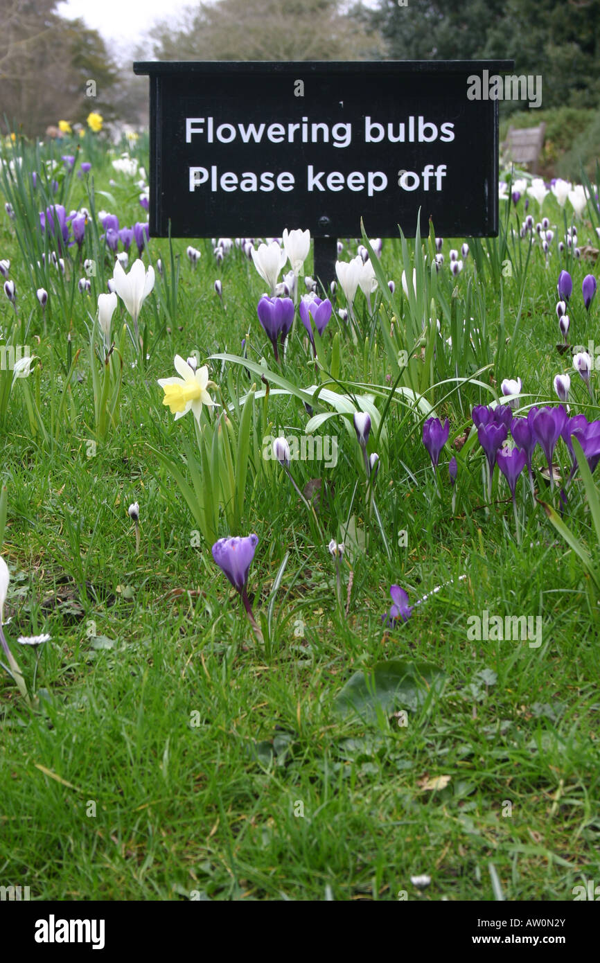 Flowering bulbs please keep off sign Stock Photo - Alamy