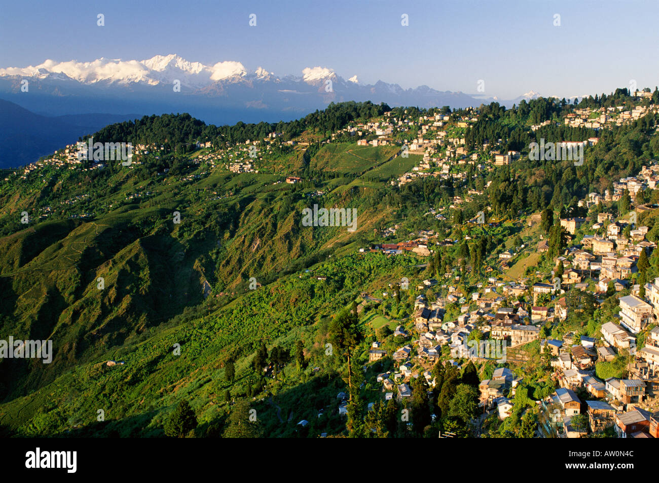 Elevated view of the town of Gangtok in early morning light with the ...