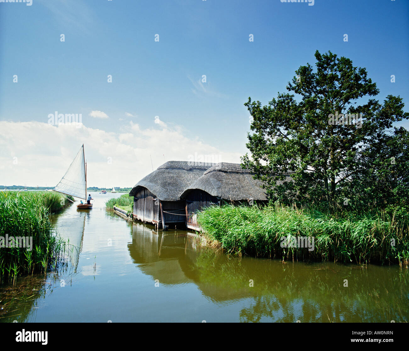 GB NORFOLK HICKLING BROAD SAILING THATCH Stock Photo - Alamy