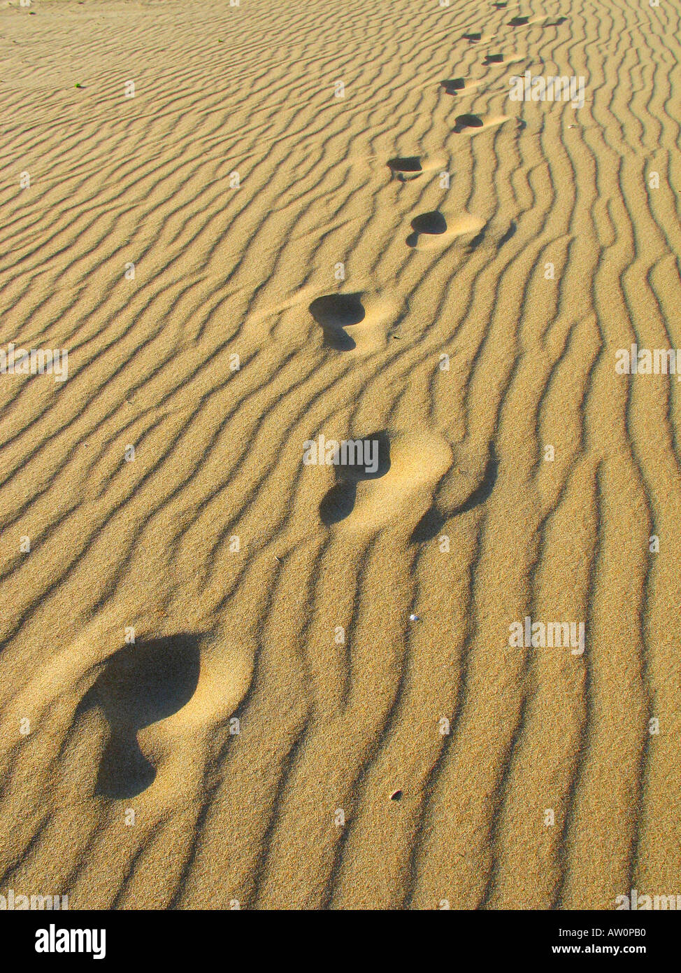 Vertical wide paradise beach hi-res stock photography and images - Alamy