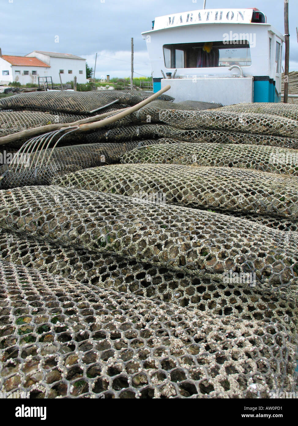 Oyster Farming Boat Marennes France Stock Photo - Alamy