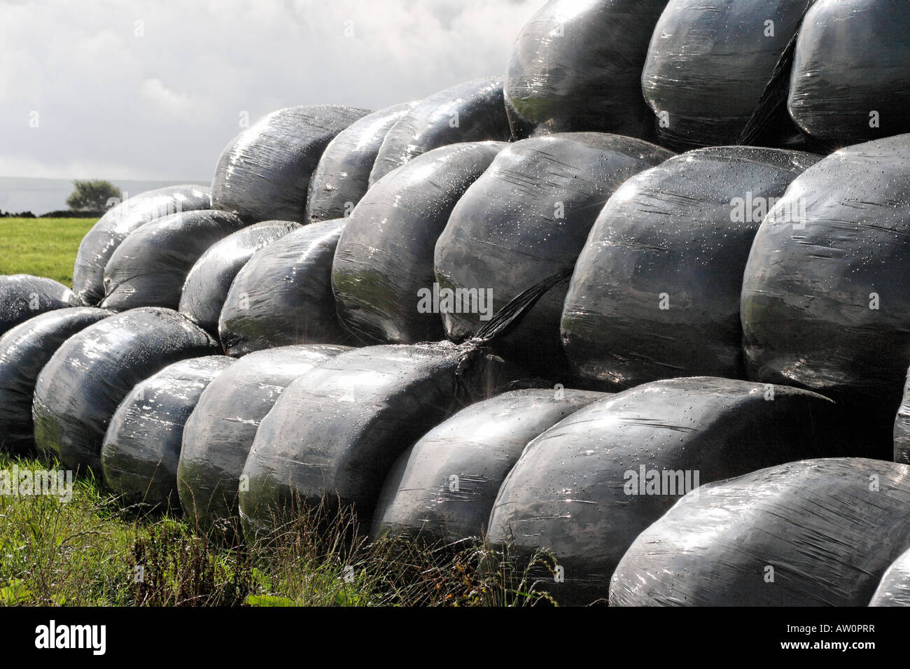 Silage bags piled in a field Stock Photo - Alamy