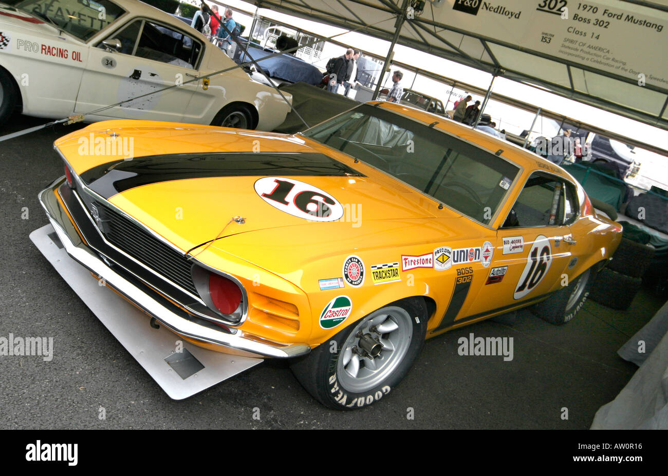 2022 Ford Mustang Boss 302