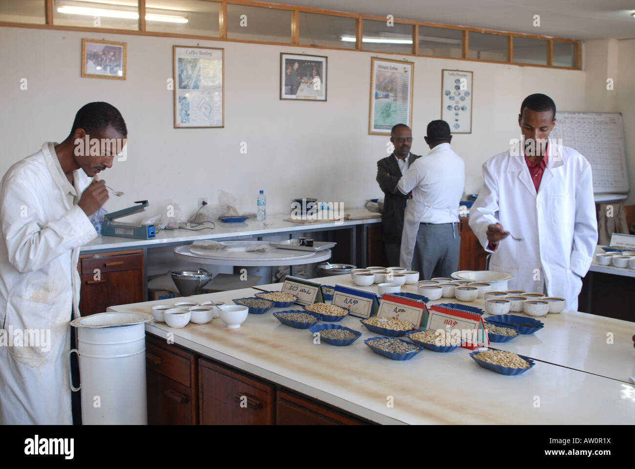 Ethiopian Central warehouse tasting laboratory, Addis Ababa Ethiopia ...
