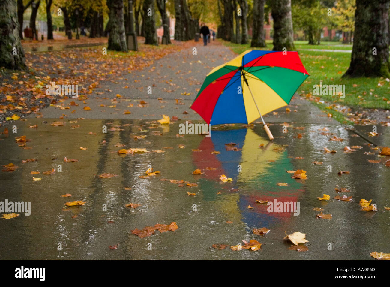 Bright umbrella in an alley of the University of Washington in Seattle ...