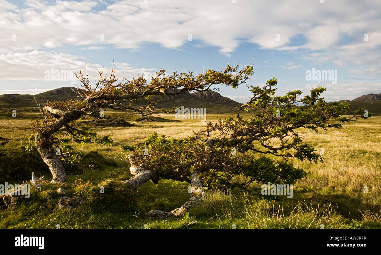 Sanna Bay in Scotland,UK Stock Photo - Alamy