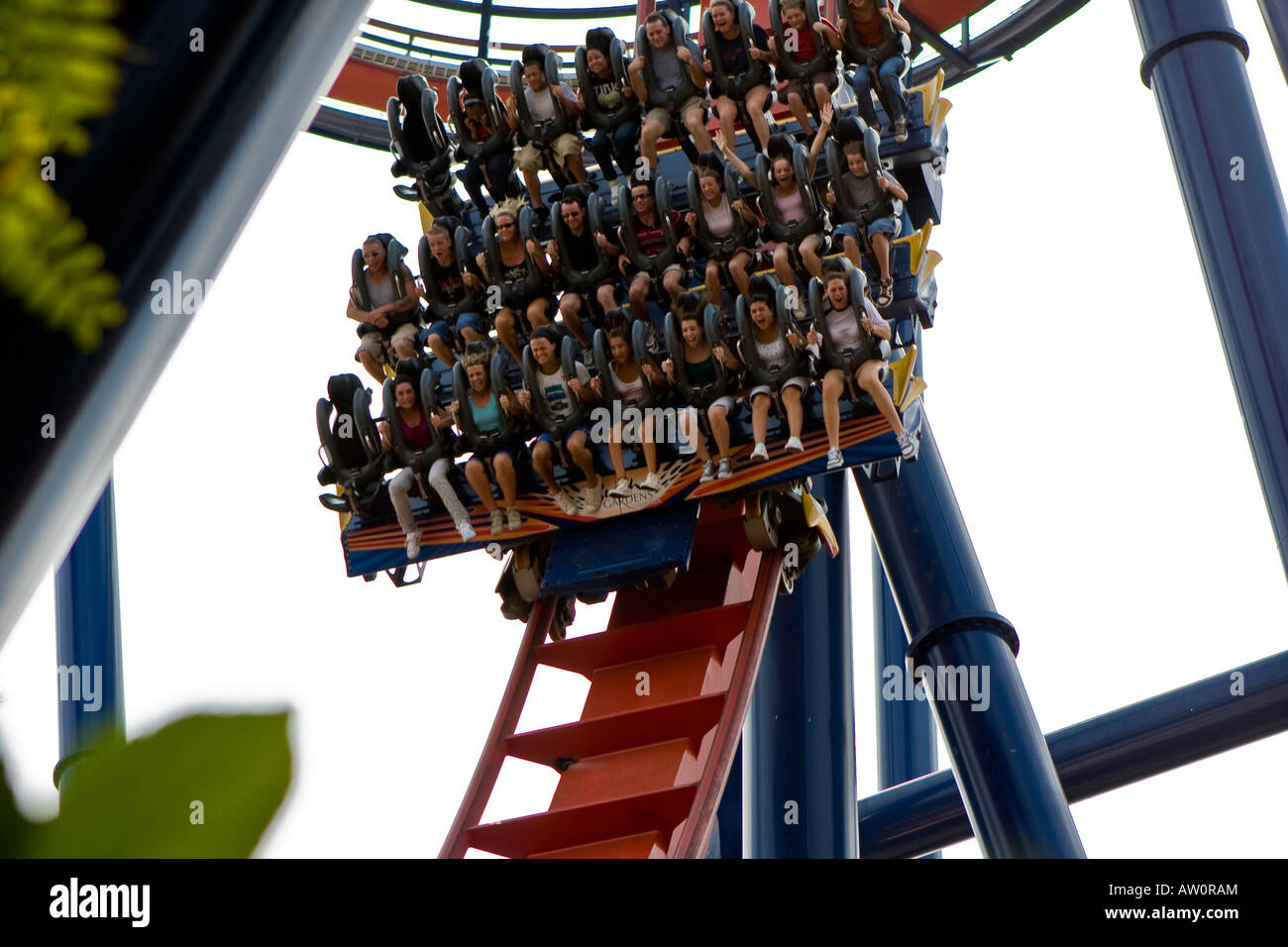 Sheikra Roller Coaster at Busch Gardens Theme Park in Tampa Florida USA ...