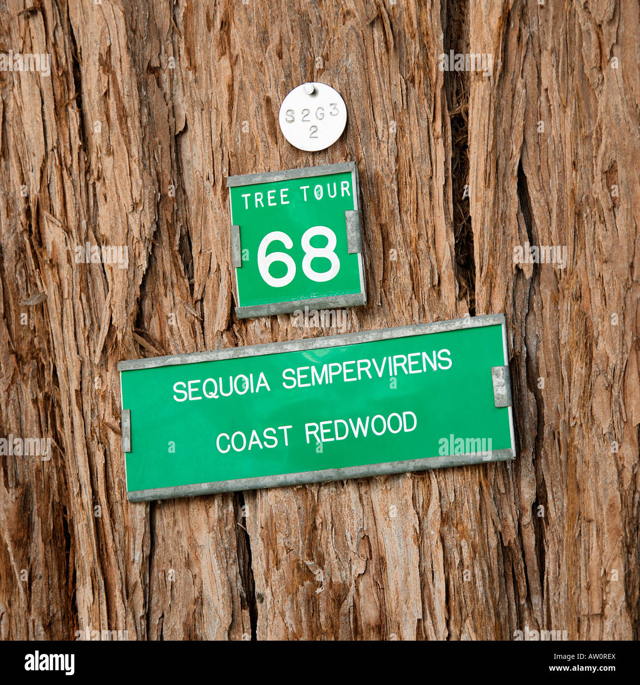 Redwood tree sign Stock Photo - Alamy