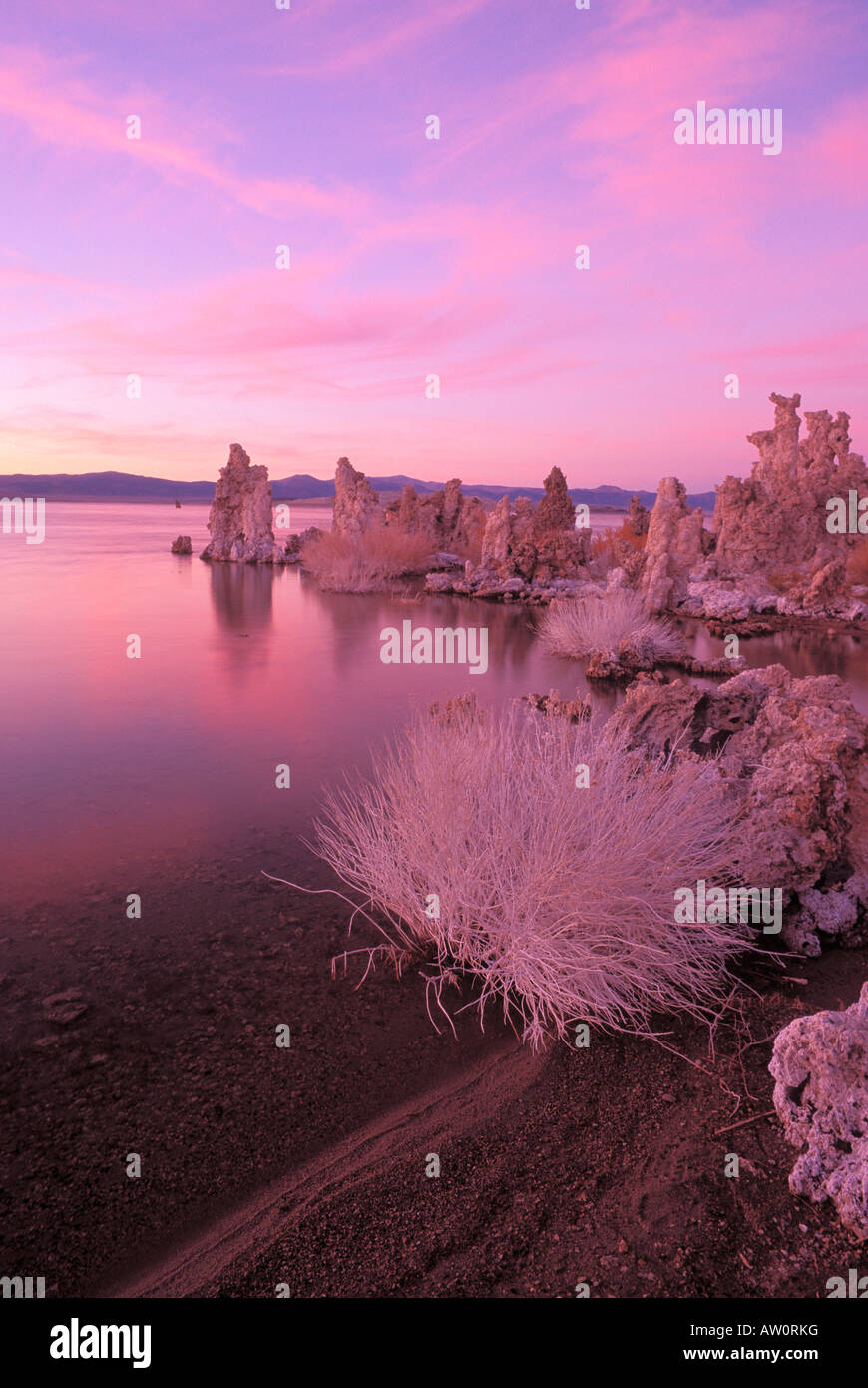 Evening light on tufa formations on the south shore of Mono Lake Mono ...