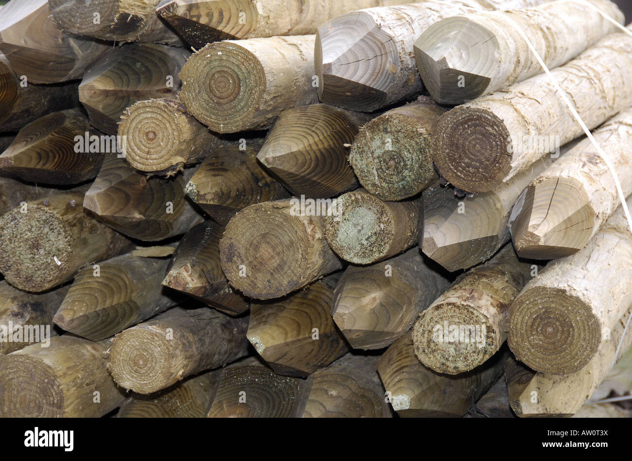 Pile of staked wooden fencing posts Stock Photo - Alamy