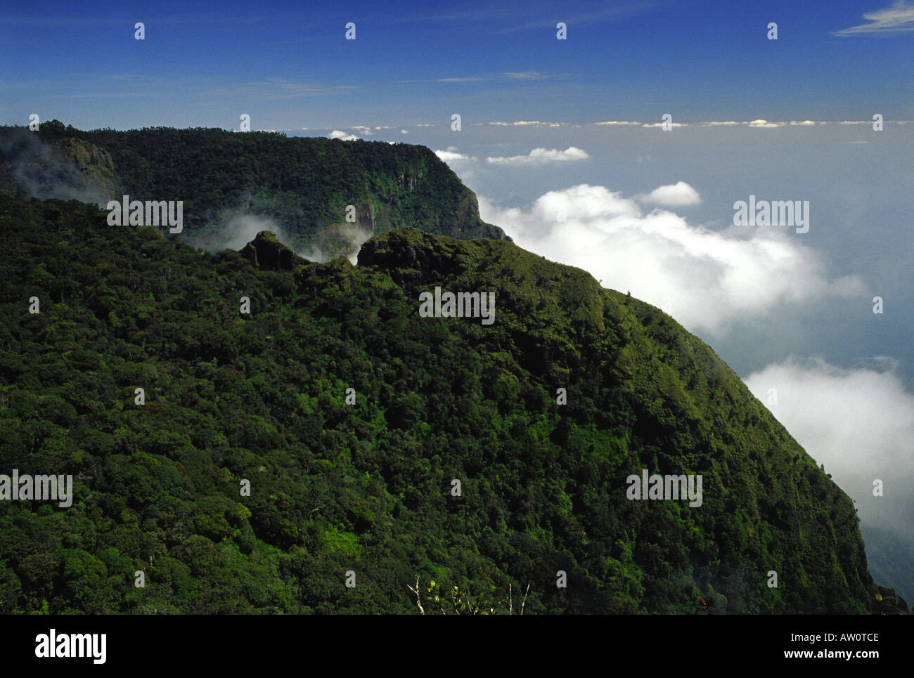 High view from Cap s Fly Valley in Kodaikanal Hill Station South India ...