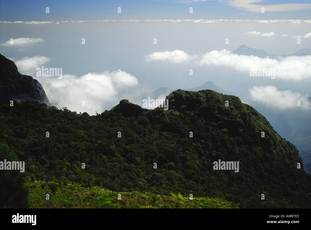 High view from Cap s Fly Valley in Kodaikanal Hill Station South India ...