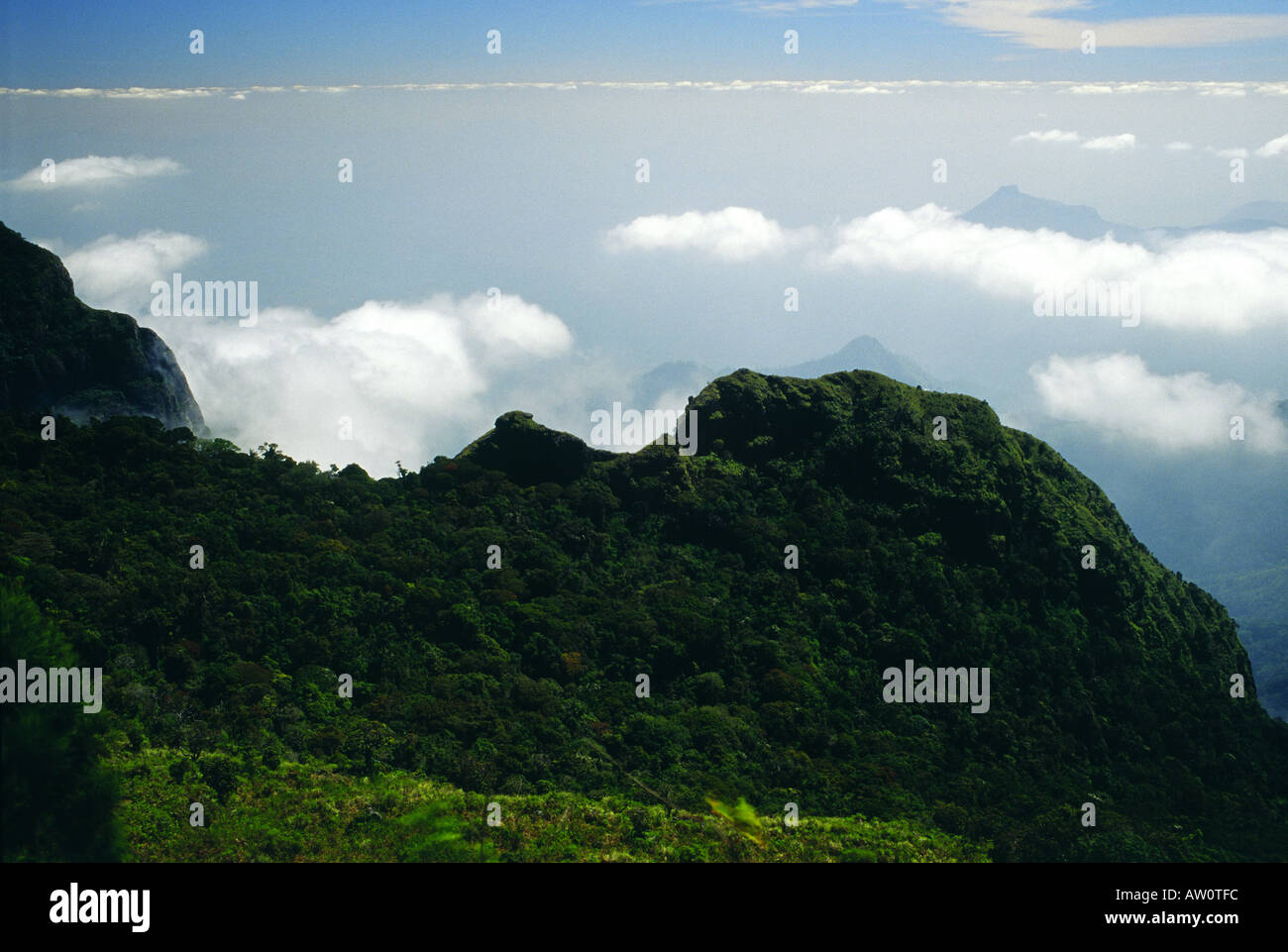 High view from Caps Fly Valley in Kodaikanal Hill Station South India ...