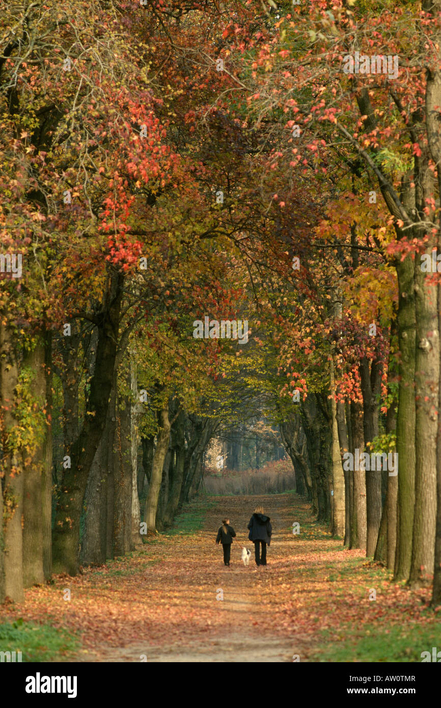 Parco of monza hi-res stock photography and images - Alamy