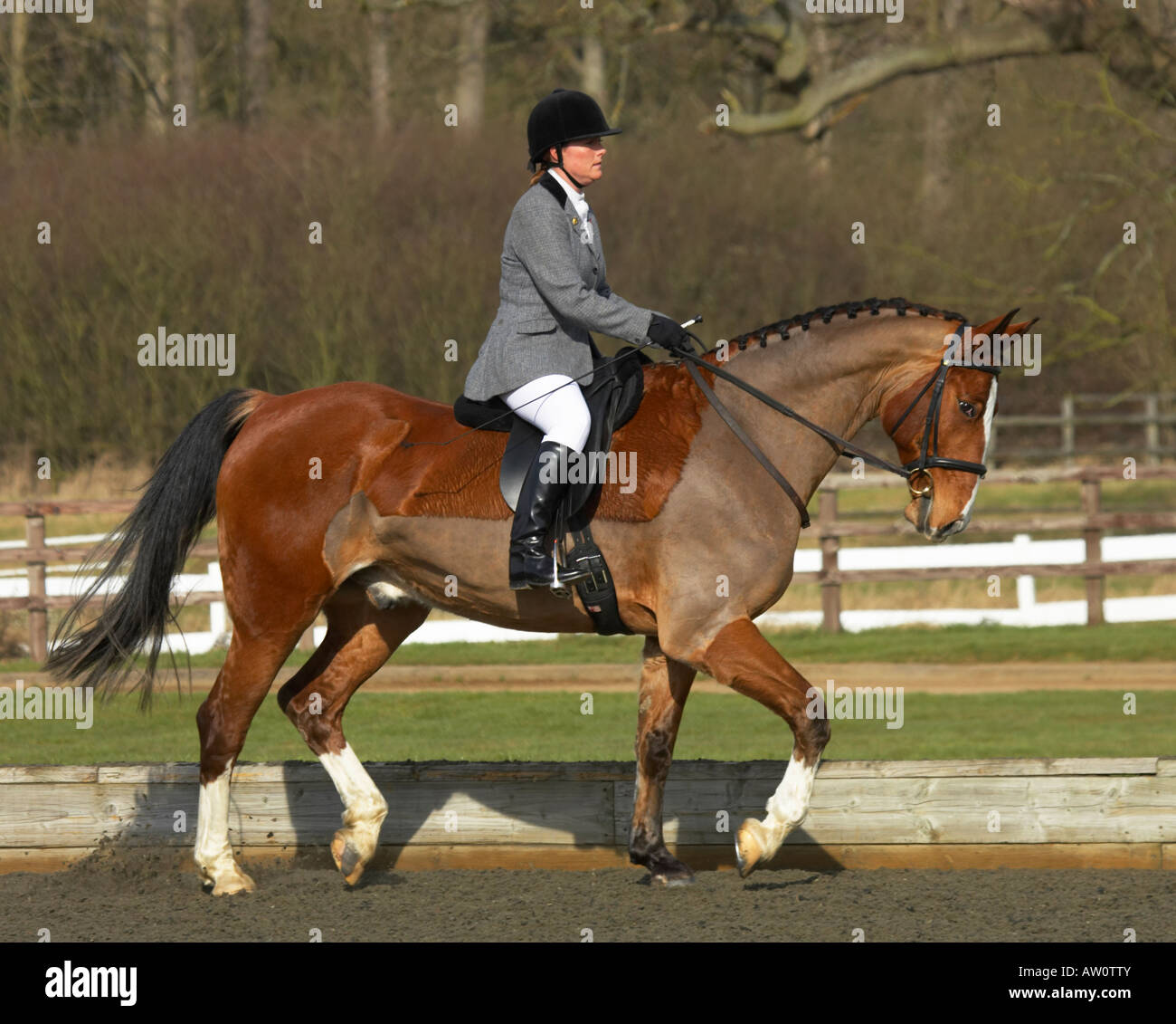 Dressage horse competition hi-res stock photography and images - Alamy