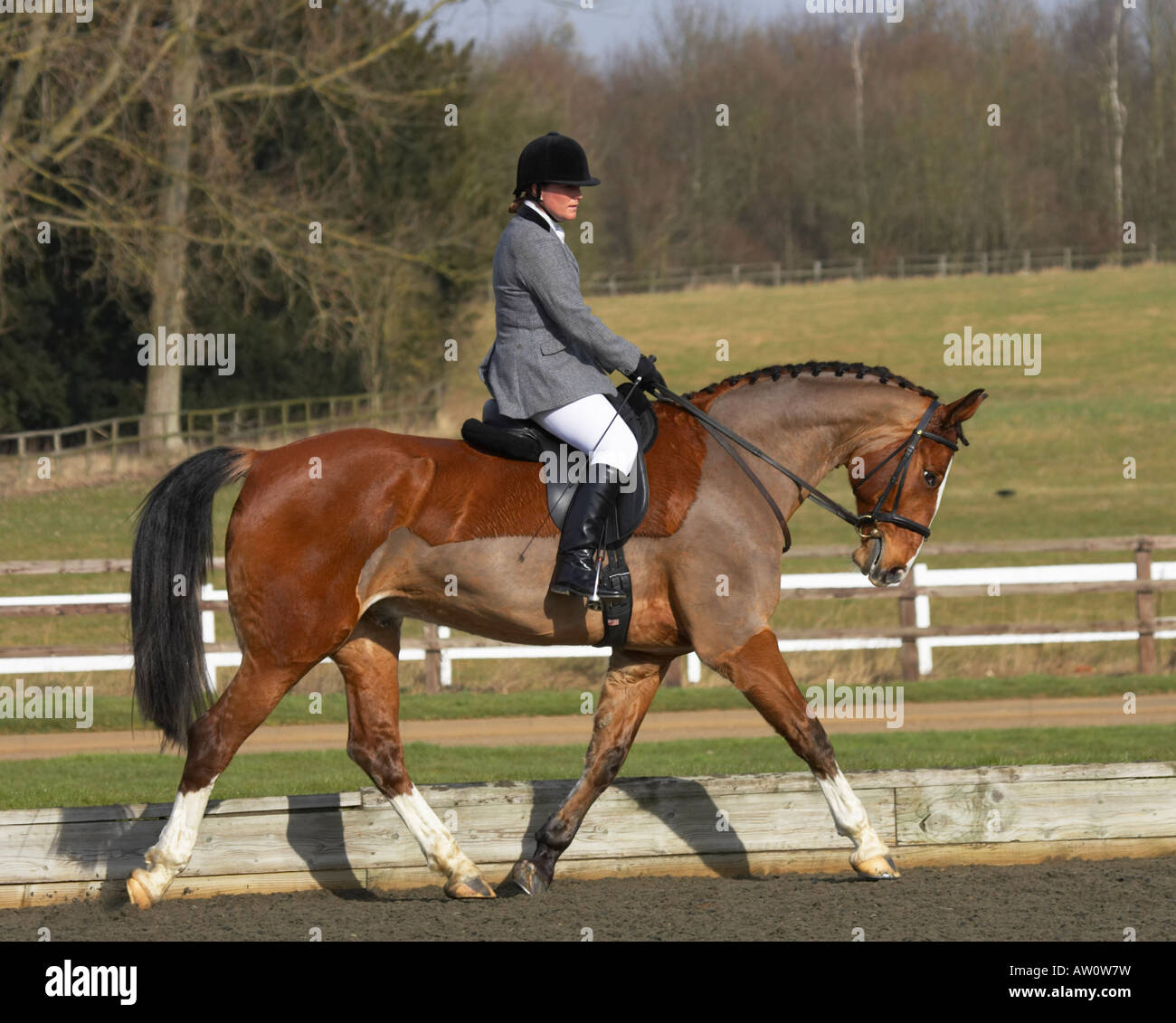 Dressage letters hi-res stock photography and images - Alamy