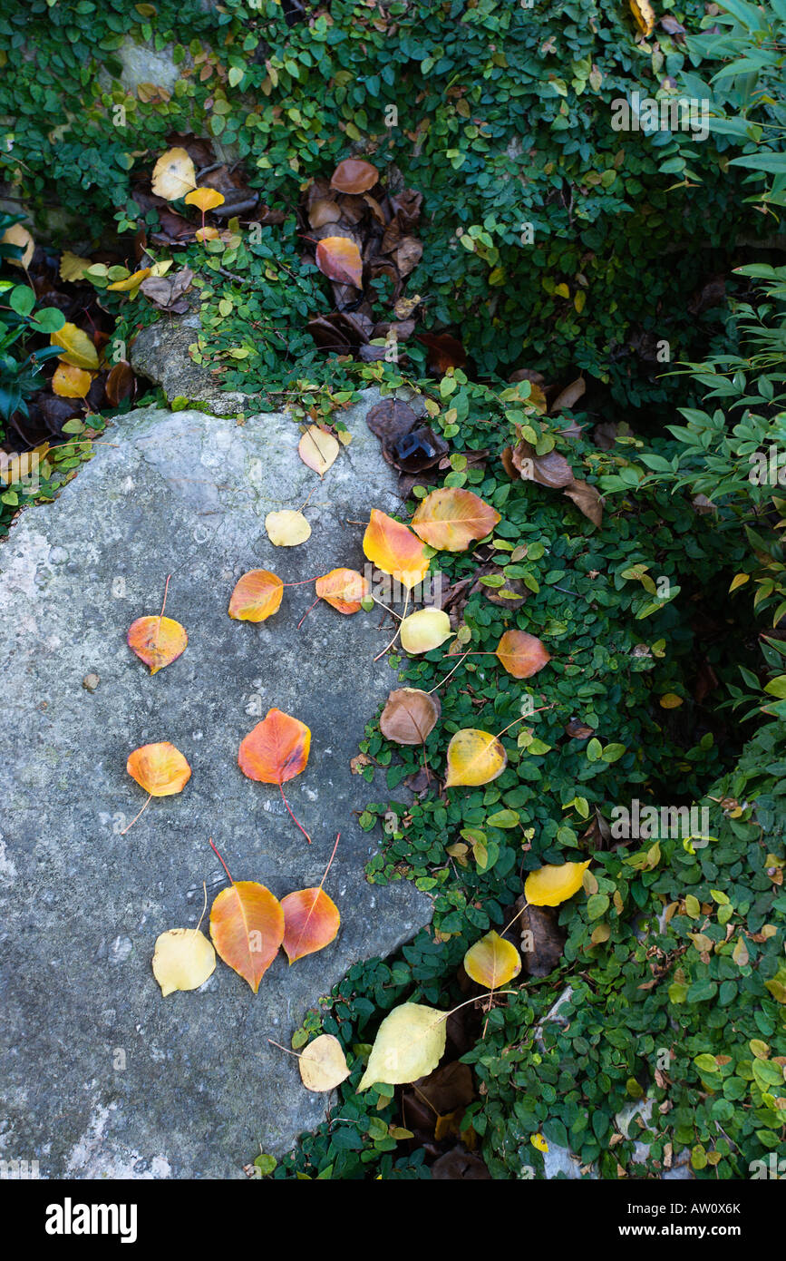 070604f0066 hi-res stock photography and images - Alamy