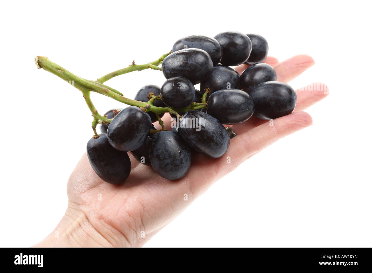 Hand holding grapes Cut Out Stock Images & Pictures - Alamy