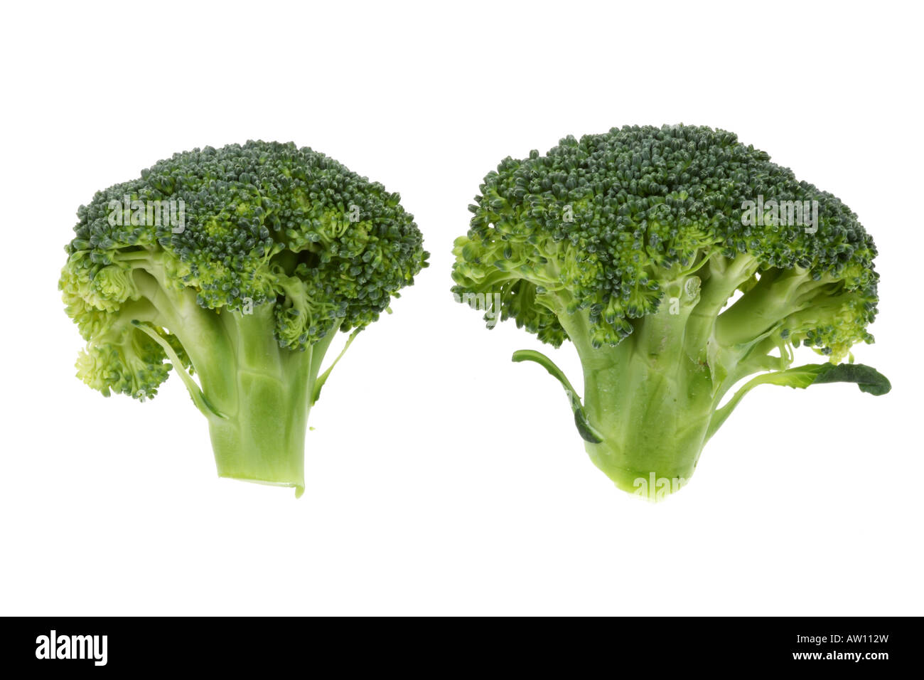 Food Portion Sizes Healthy High Resolution Stock Photography and Images ...