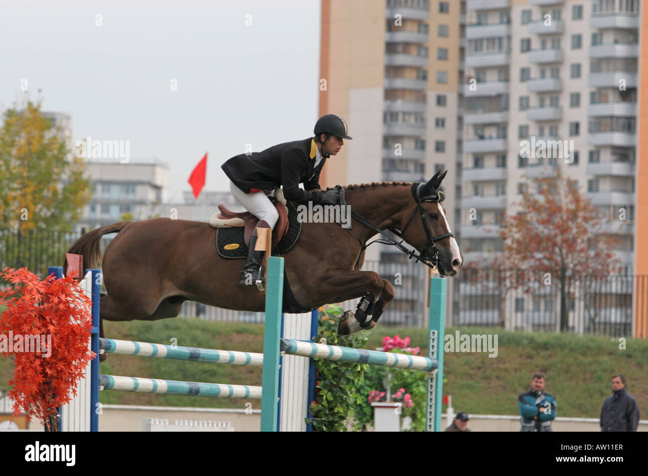 Equestrian sport. Showjumping Stock Photo - Alamy