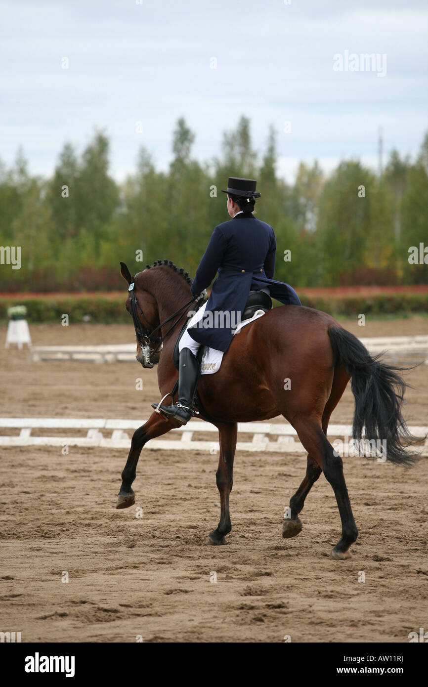 Equestrian manege hi-res stock photography and images - Alamy