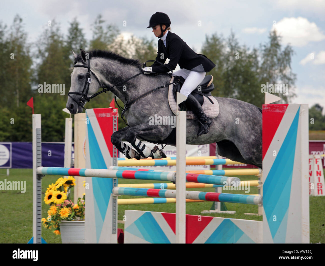 Equestrian sport. Showjumping Stock Photo - Alamy