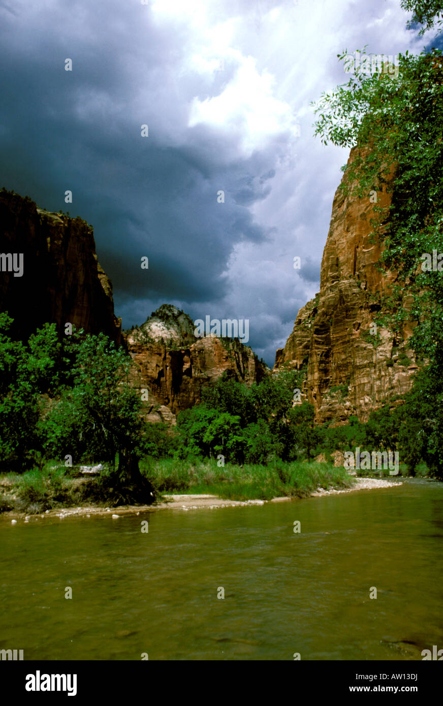 UT Utah Zion National Park Emerald Pools Stock Photo - Alamy