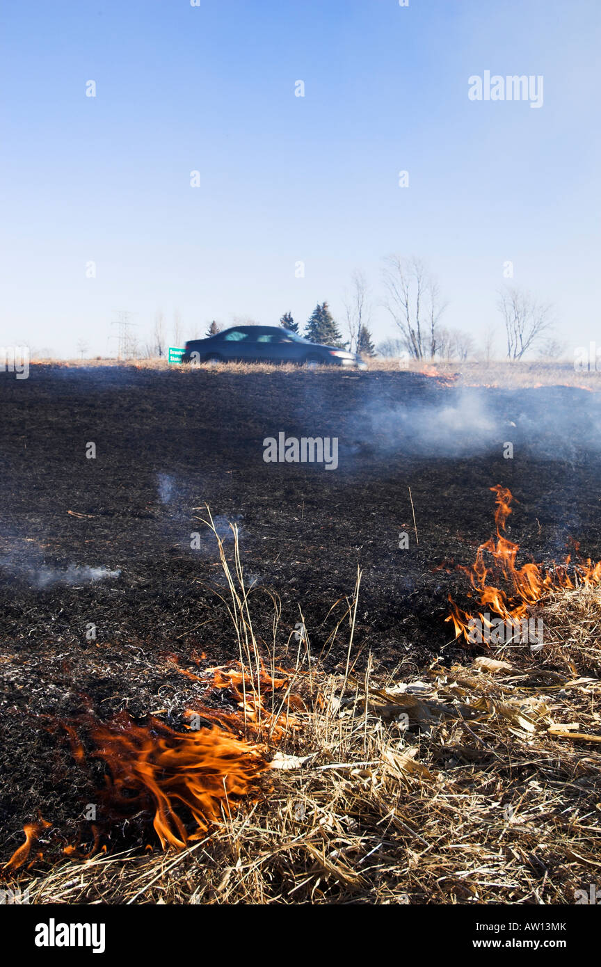 A grass fire burning through dry grass Stock Photo - Alamy