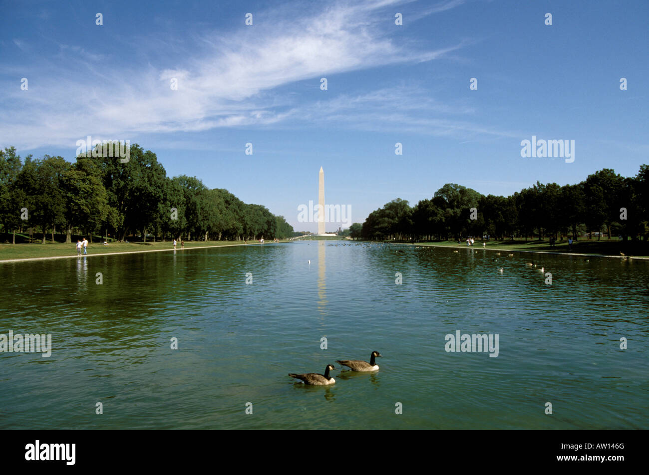 DC Washington DC DC Monuments Washington Monument and Reflect ducks ...