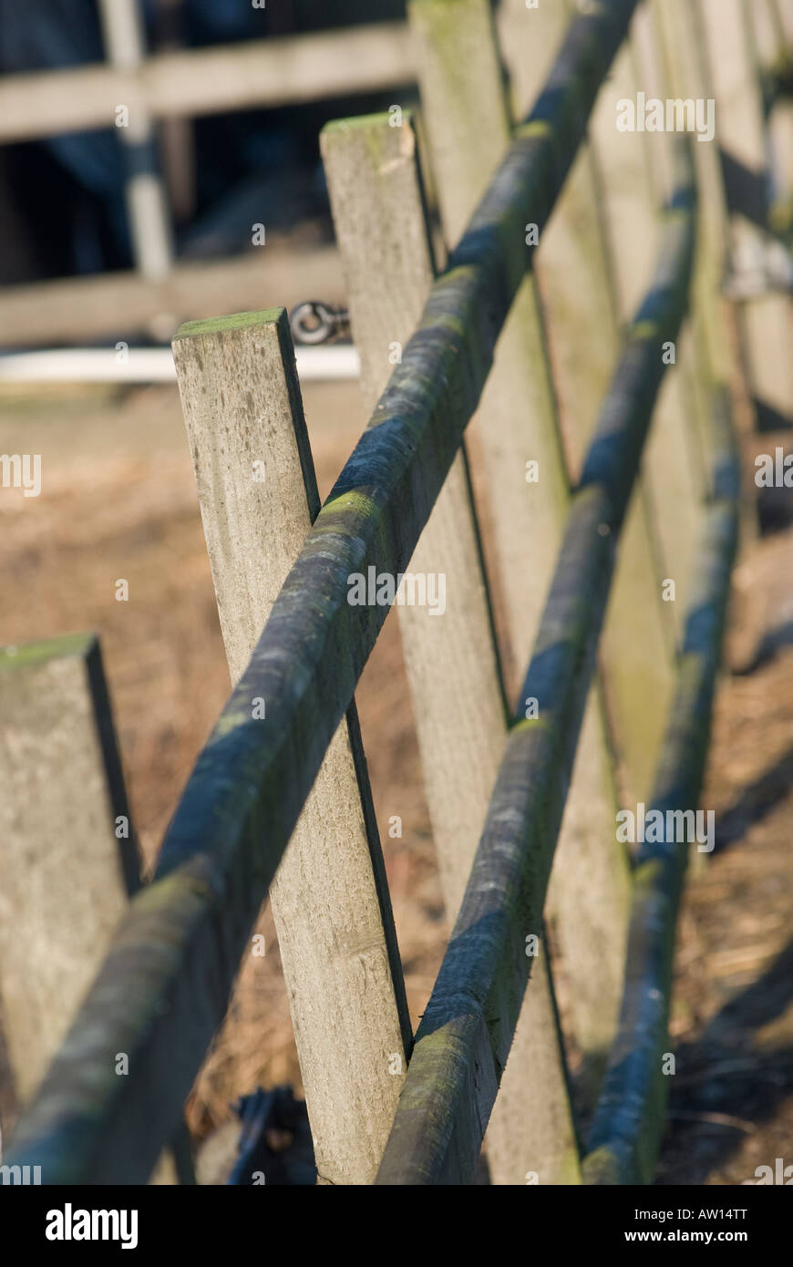 wooden fencing on a farm in the uk Stock Photo - Alamy