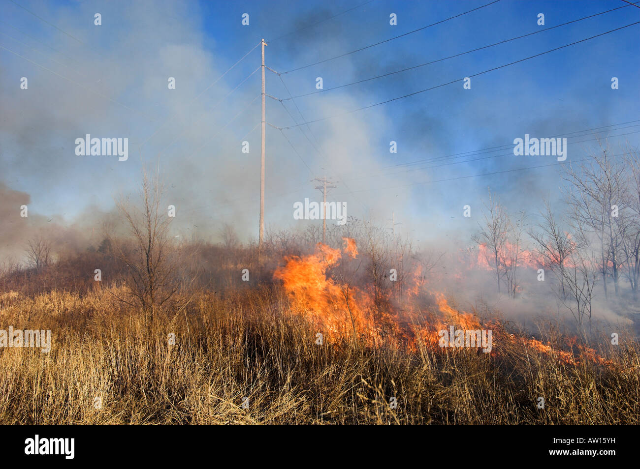A grass fire burning through dry grass Stock Photo - Alamy