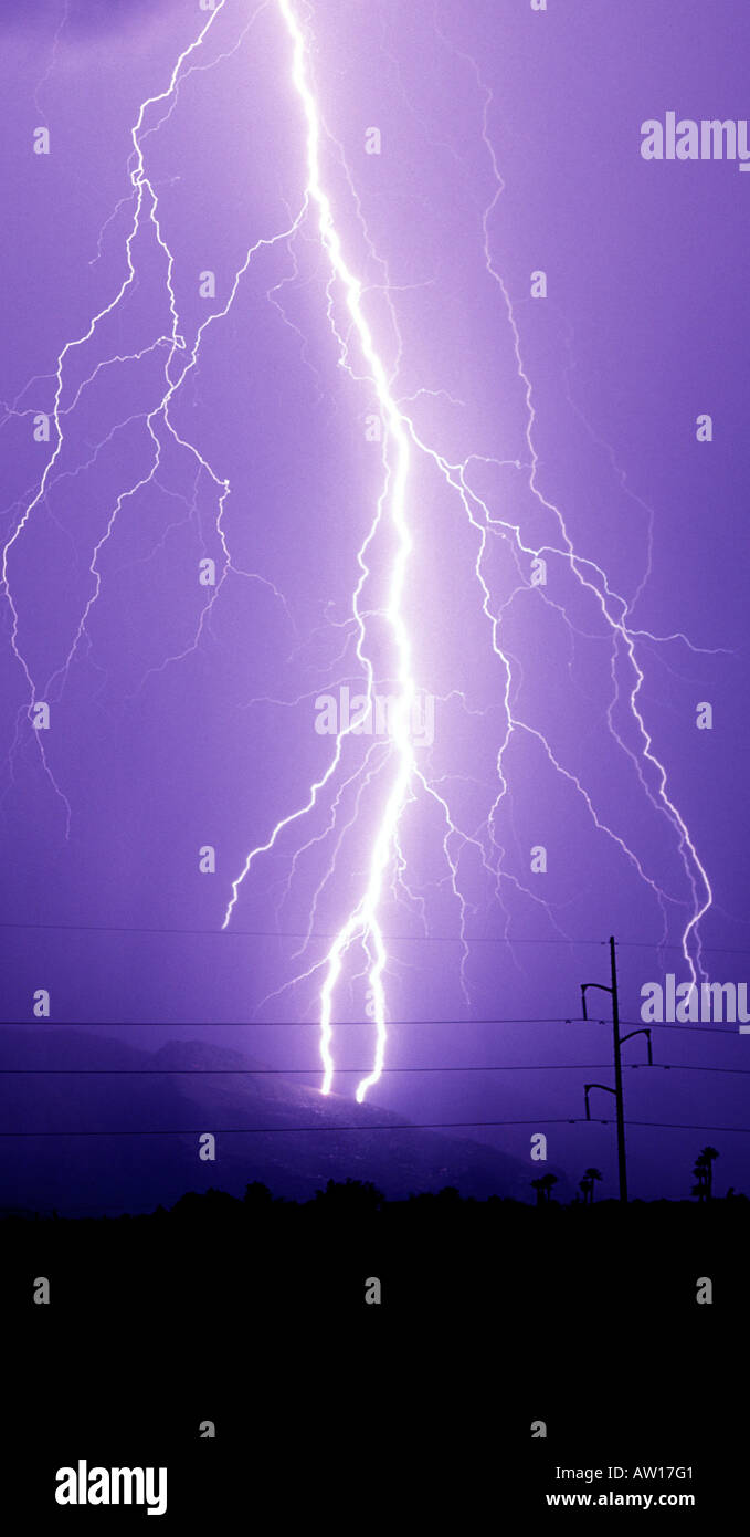 A large lightning bolt strikes down from a purple sky in the Catalina ...