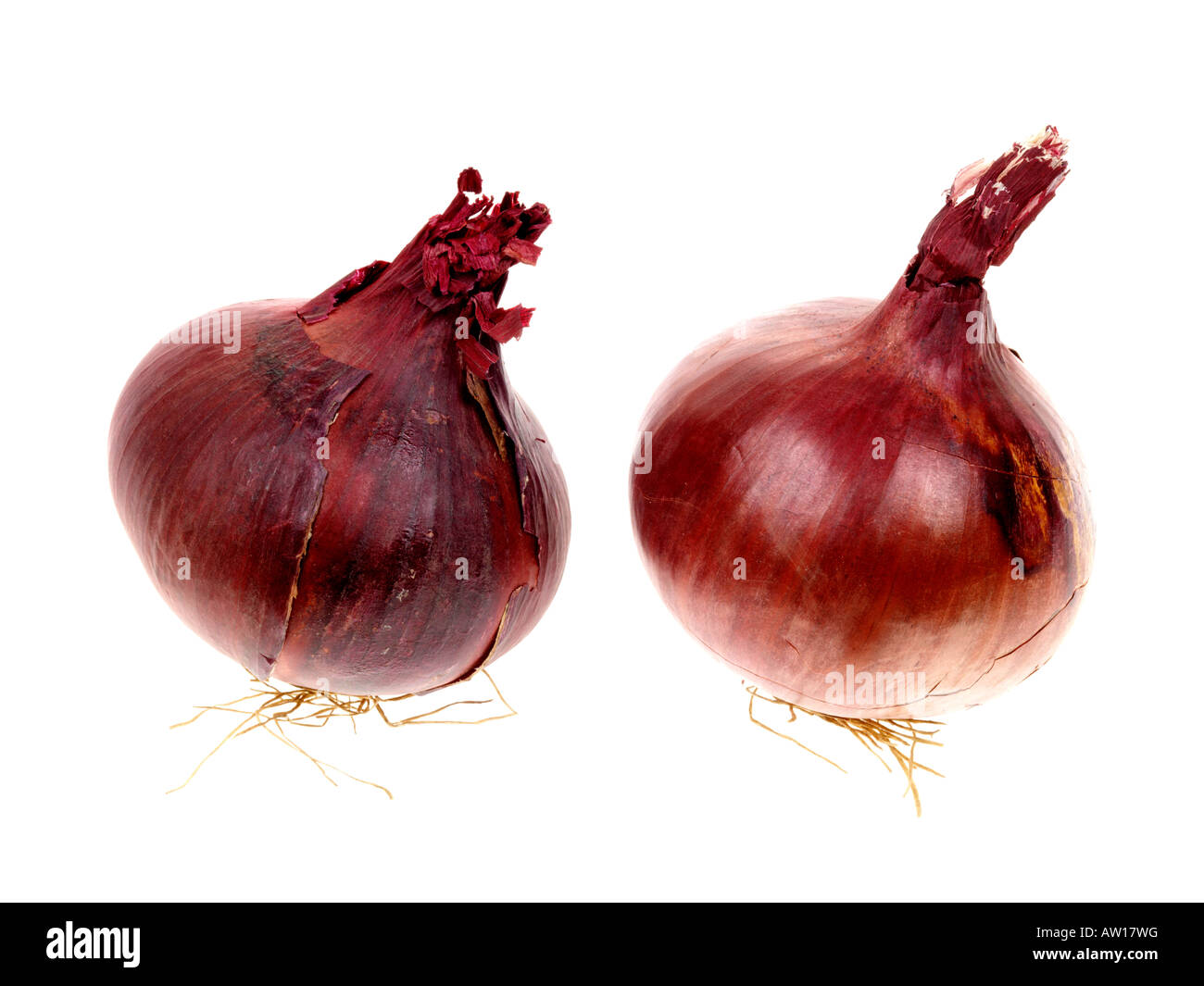 Fresh Raw Healthy Red Onions, With No People Isolated On White Stock ...