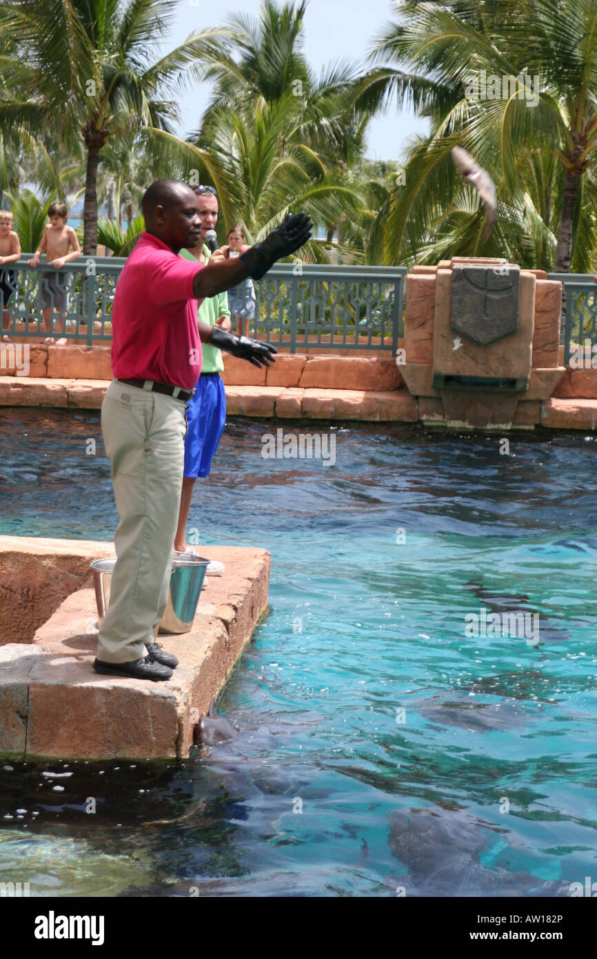 Shark feeding at the Mayan Temple Lagoon Atlantis Pleasure Island ...