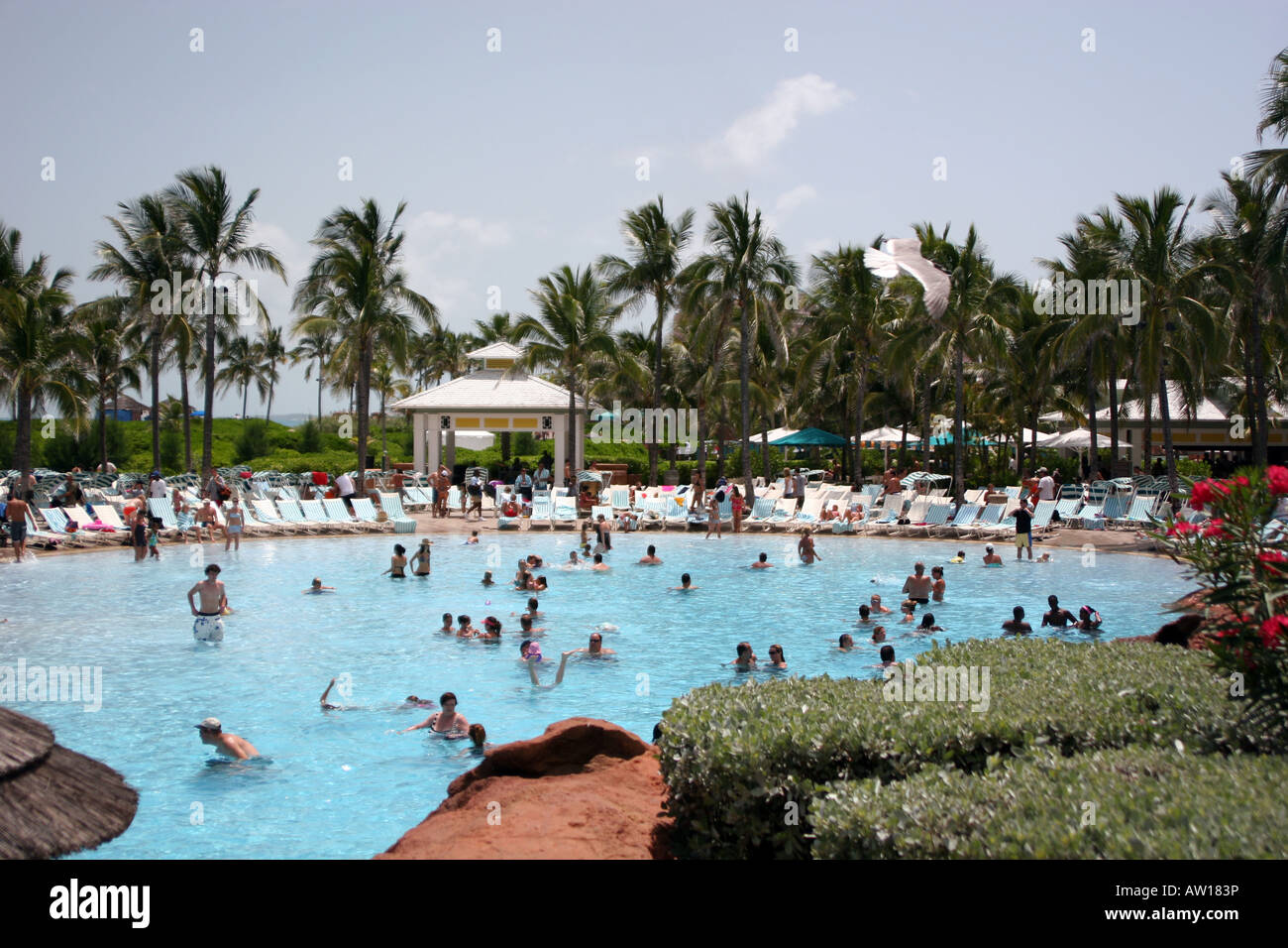 Guests enjoying the River Pool Atlantis Paradise Island Bahamas Stock ...