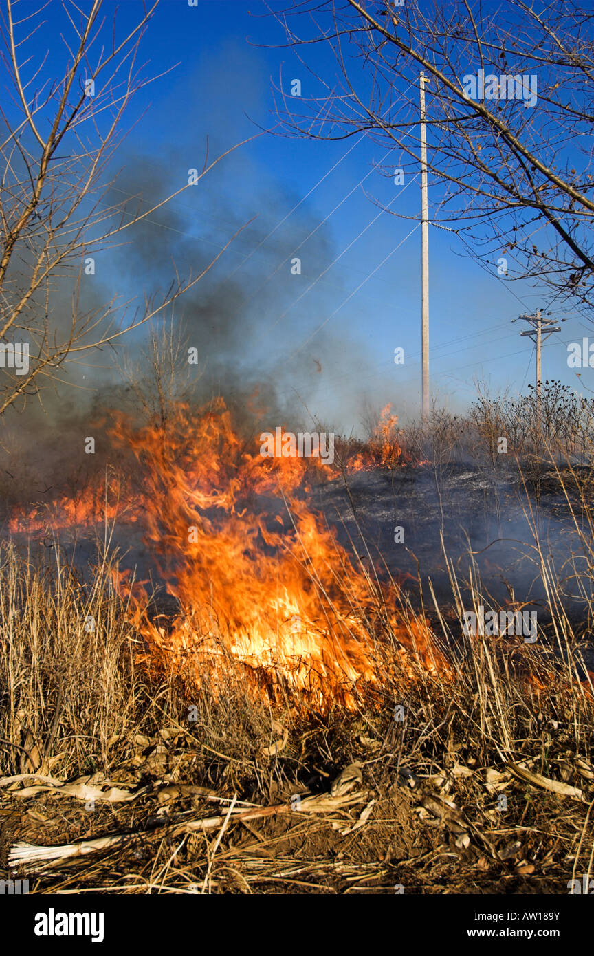 A grass fire burning through dry grass Stock Photo - Alamy