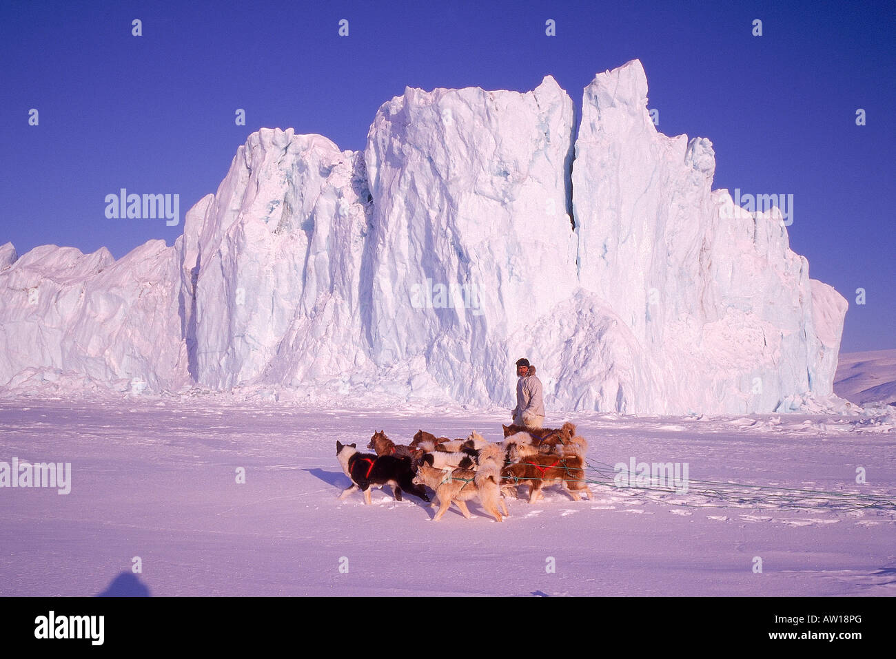 Man with Husky Dog Sled, Thule Greenland Stock Photo - Alamy