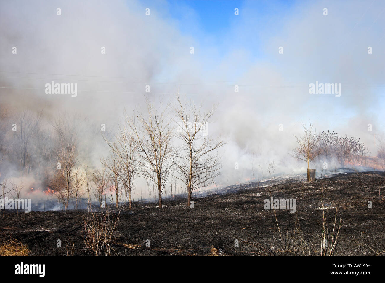 Smoldering Fire High Resolution Stock Photography and Images - Alamy