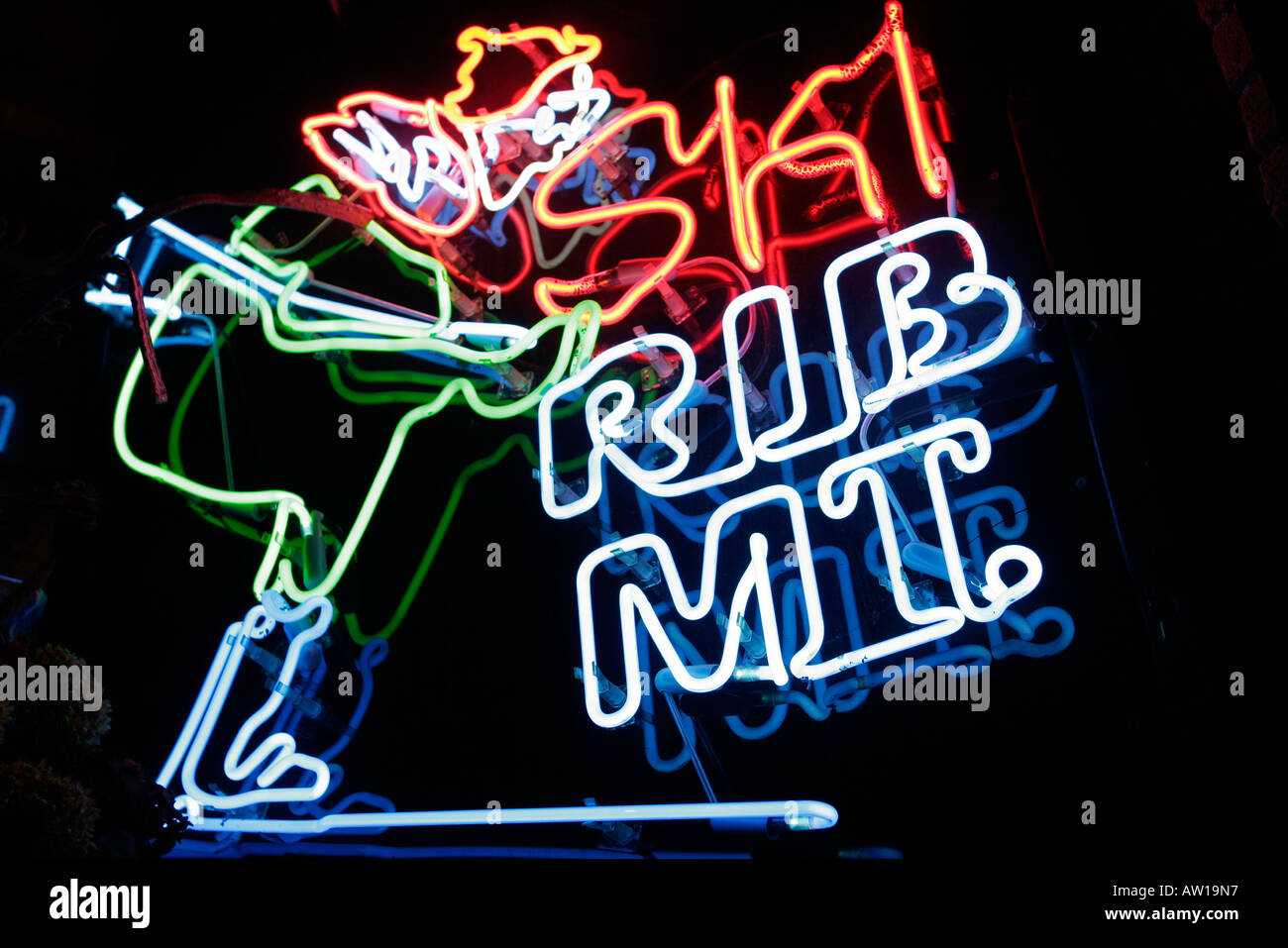 Wausau Wisconsin,3rd Third Street,Evolutions in Design,neon sign,Ski ...