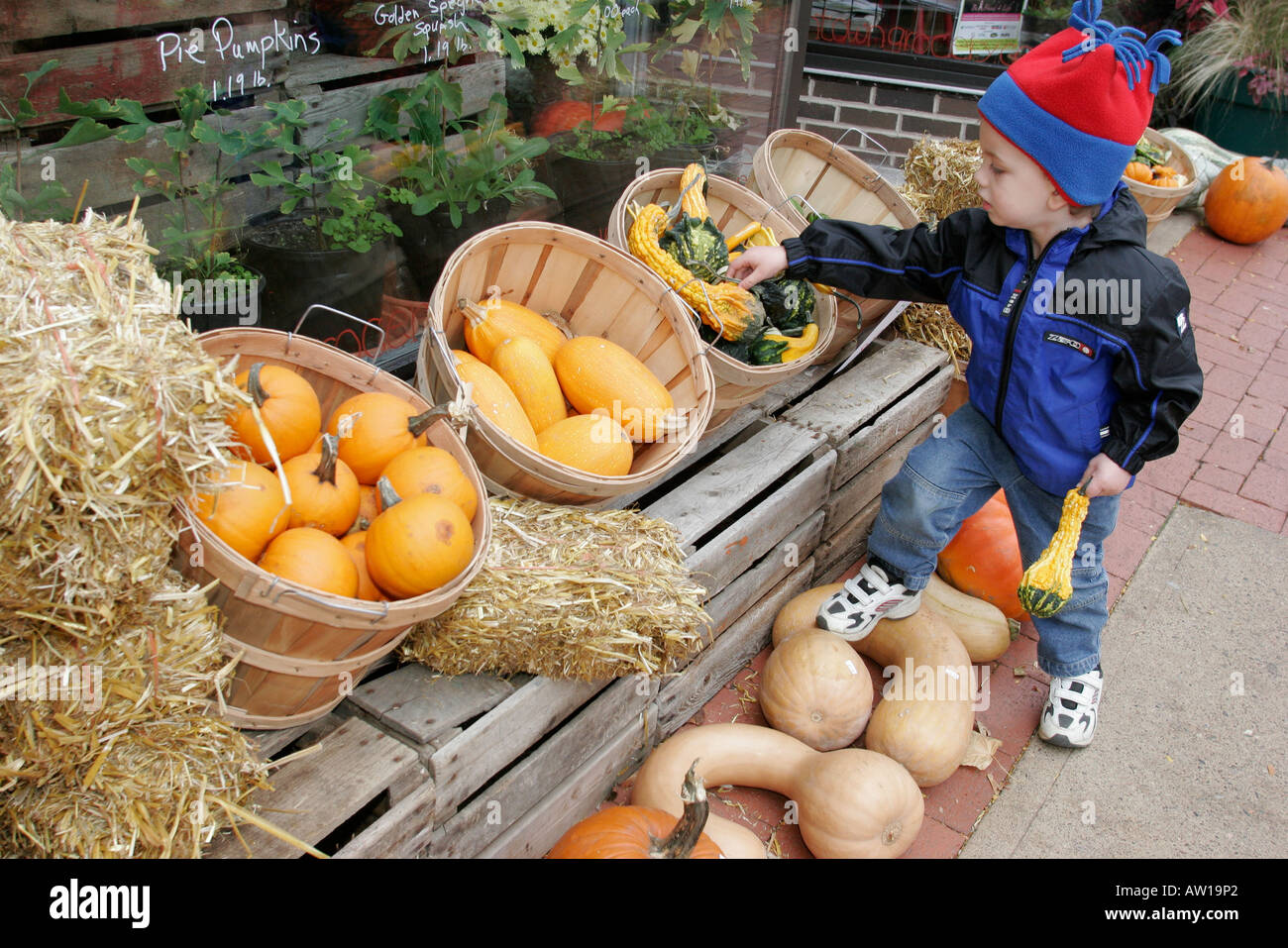 Wausau Wisconsin,3rd Third Street,Downtown Grocery.com,boy boys lad ...